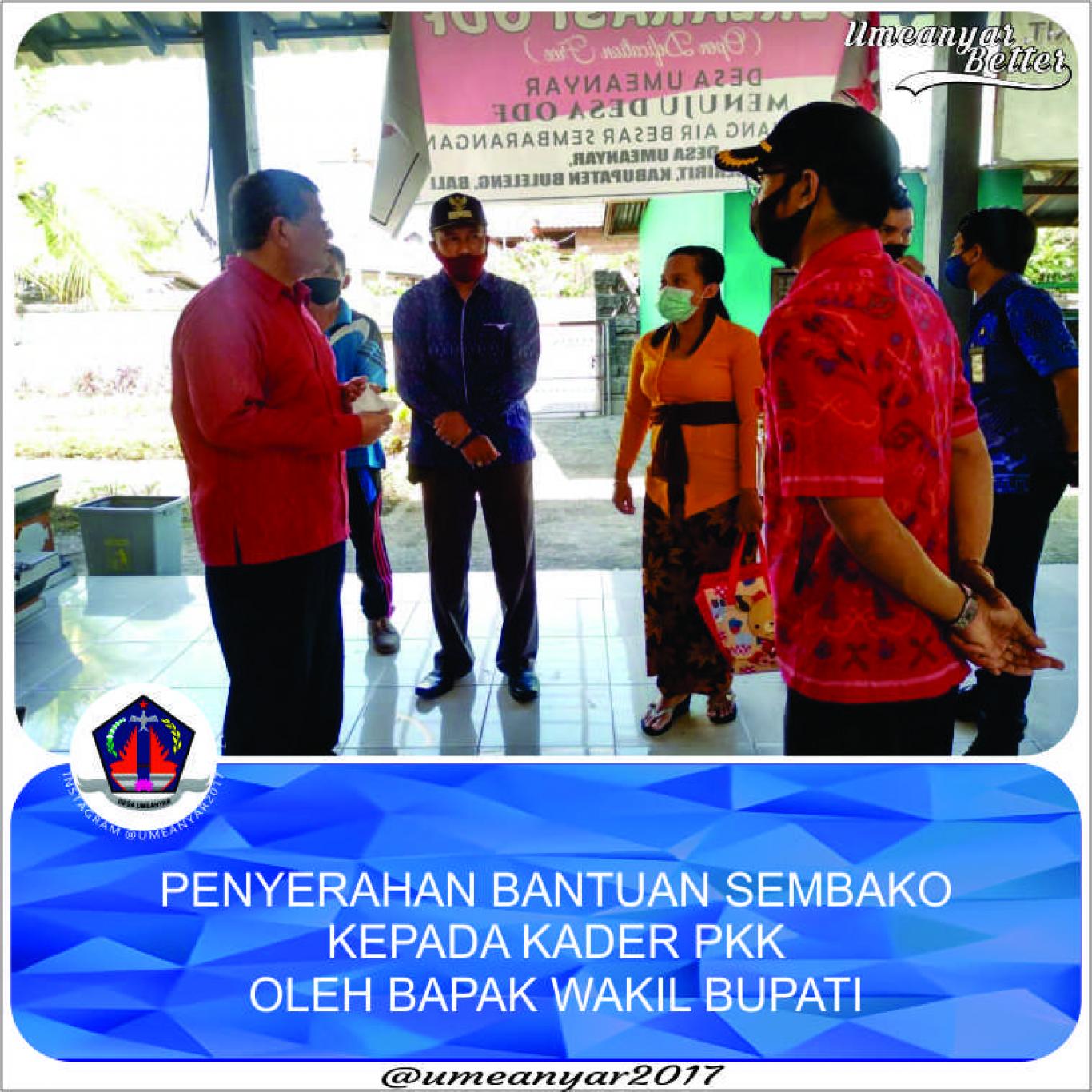 PENYERAHAN BANTUAN SEMBAKO KEPADA KADER PKK OLEH BAPAK WAKIL BUPATI ...